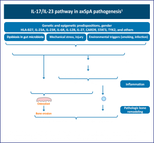 Pathophysiology – Relief