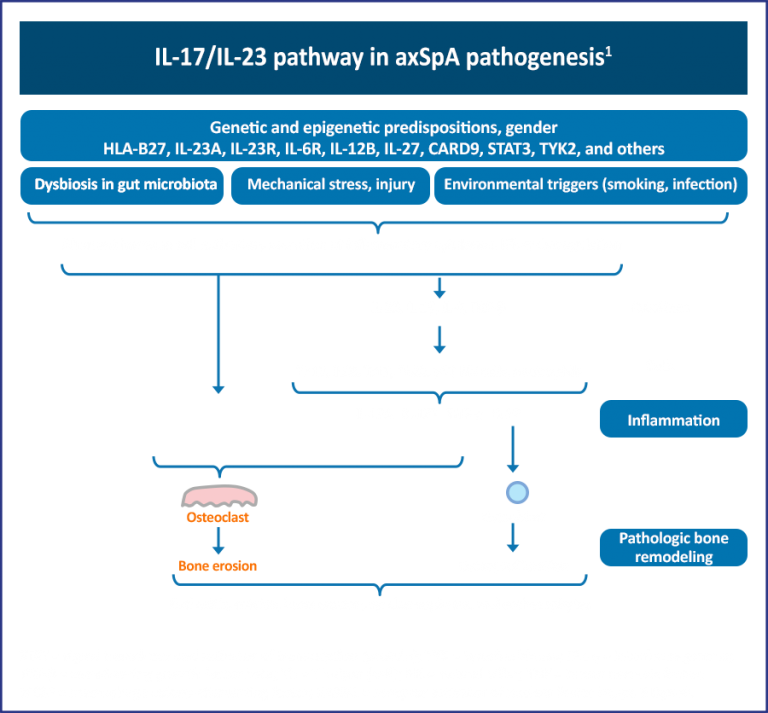Pathophysiology – Relief